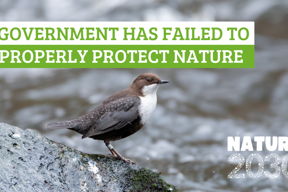 Nature by 2030: Annual report shows alarming lack of progress – UK ...