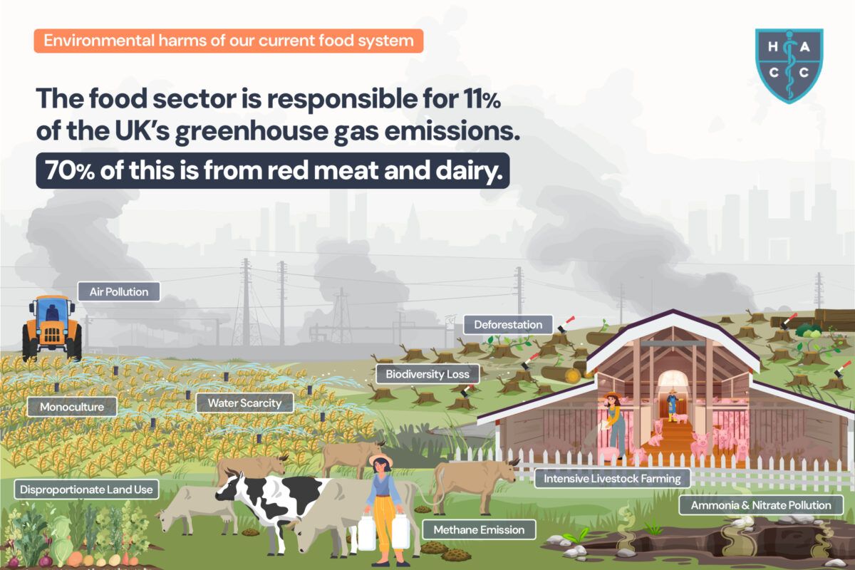 Health professionals unite to urge the government to stop promoting ...