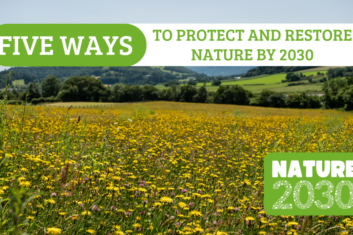 Nature 2030 – Five Key Commitments from Politicians at 2024 General ...